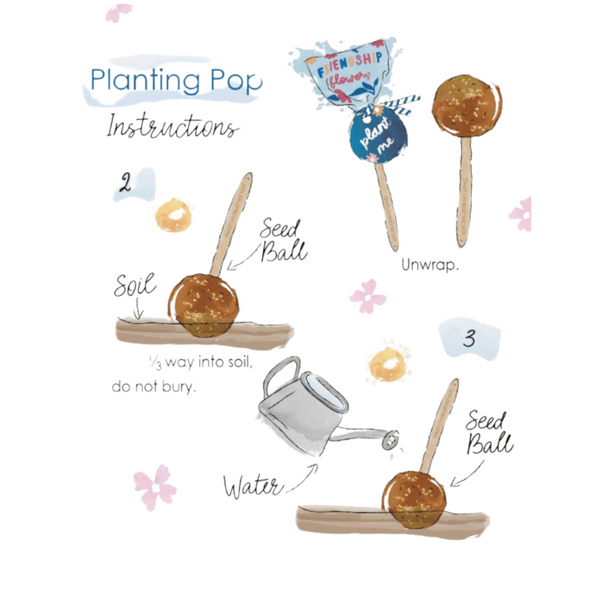 SEED PLANTING POP – WICK WITCH APOTHECARY